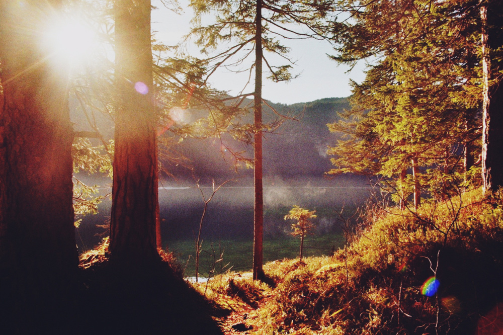 a distant memory - nicola odemann