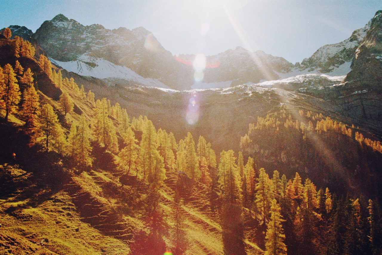 autumn glow - nicola odemann