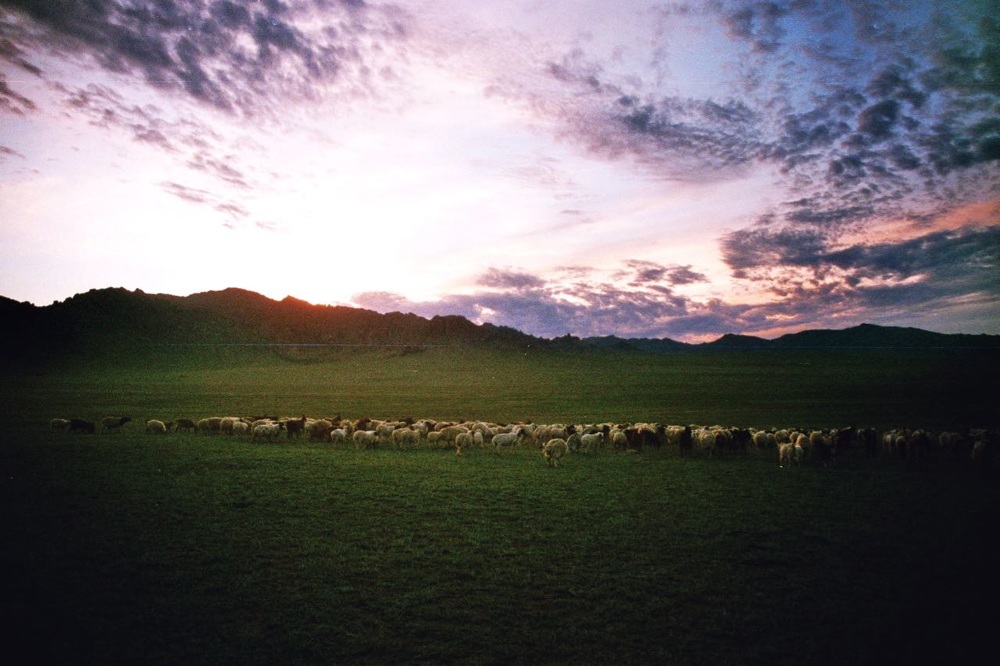 MONGOLIA - nicola odemann