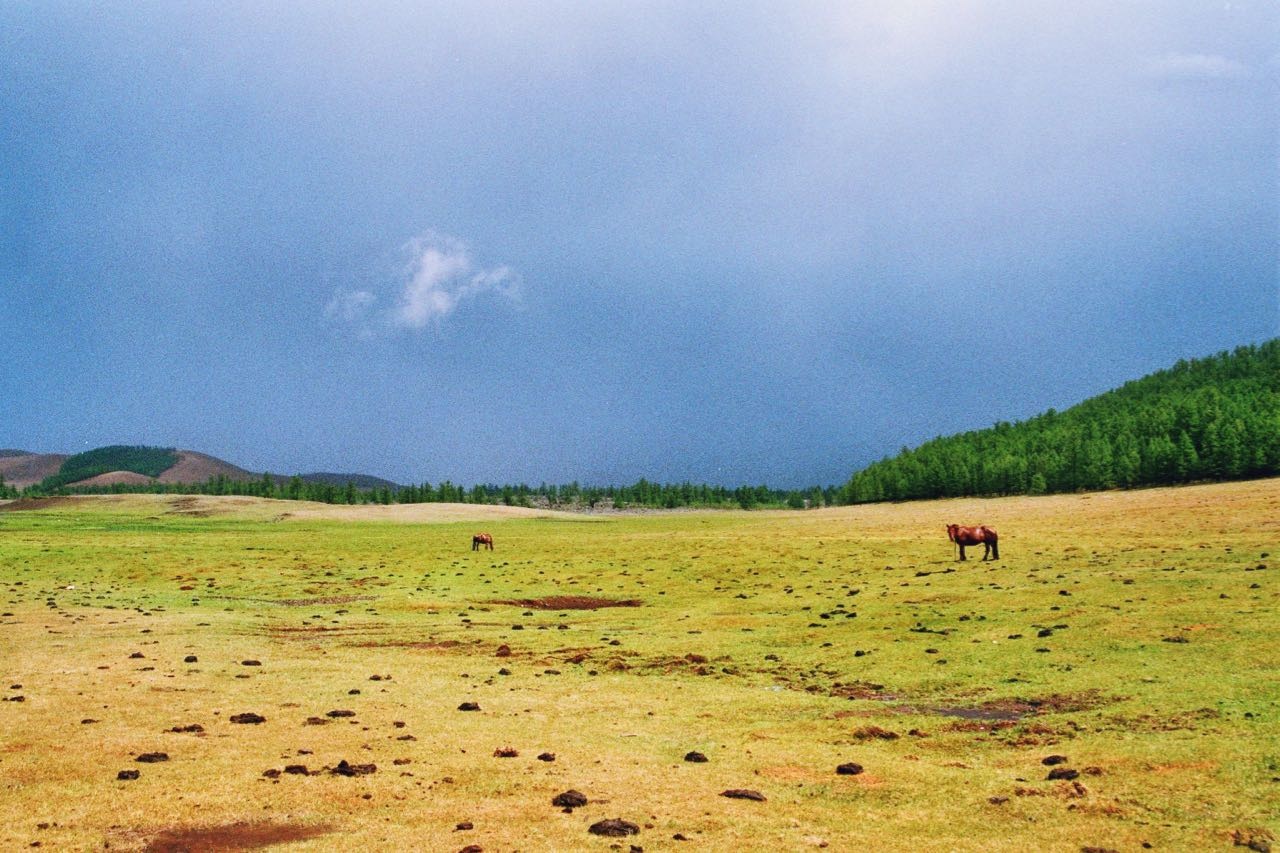 MONGOLIA - nicola odemann
