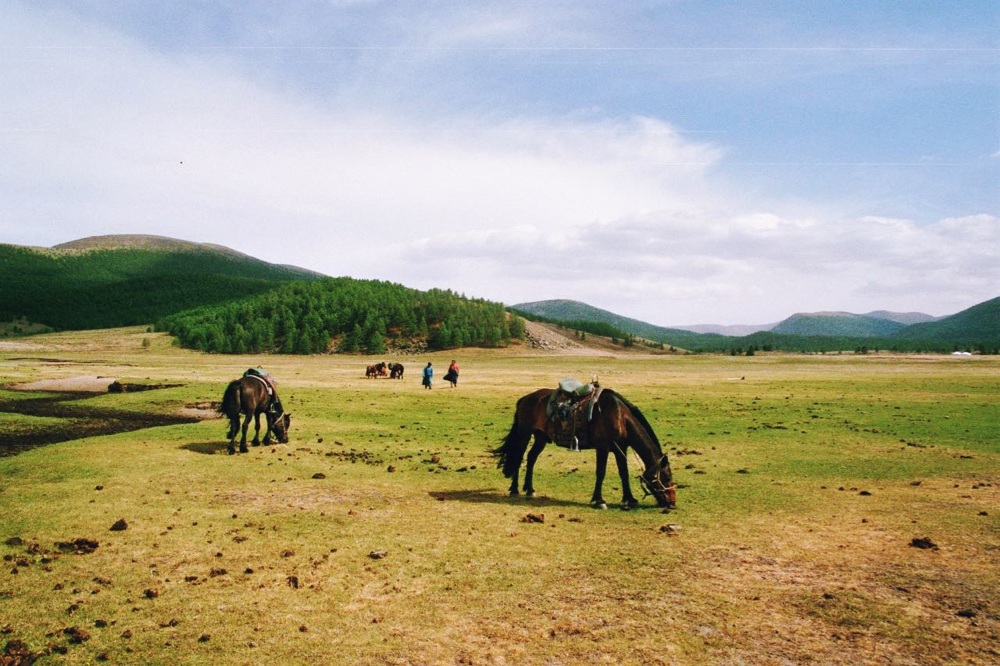 MONGOLIA - nicola odemann