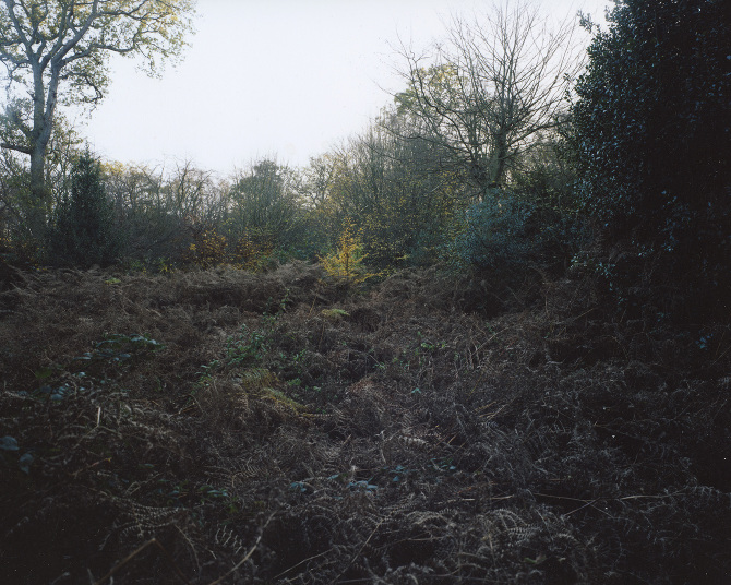 Madness and the Land - Beth Atkinson