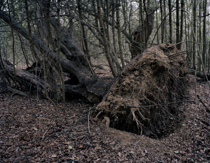 Madness and the Land - Beth Atkinson