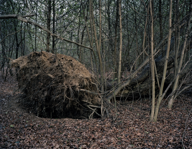 Madness and the Land - Beth Atkinson