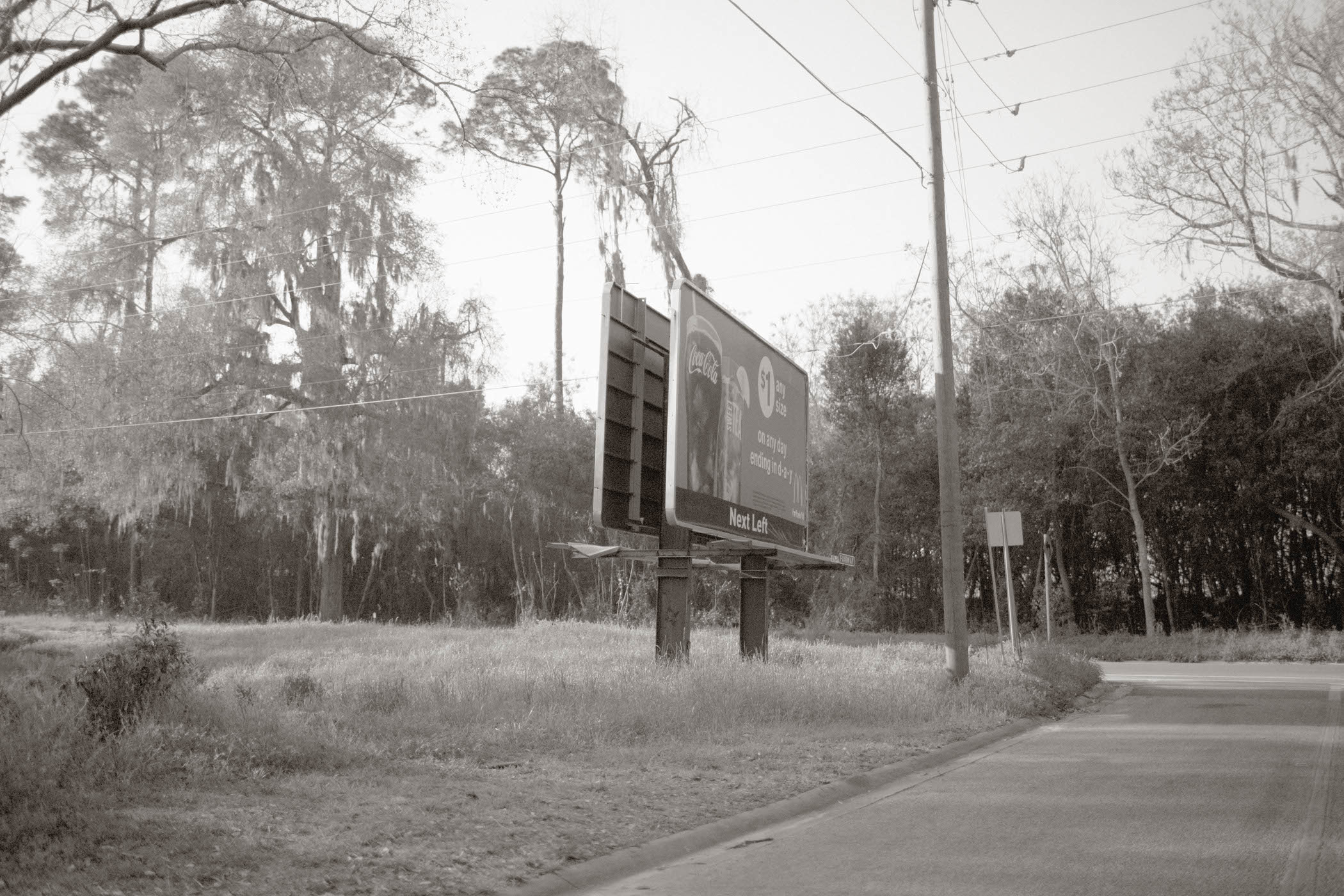 PINETTA - Rob Walters Photography