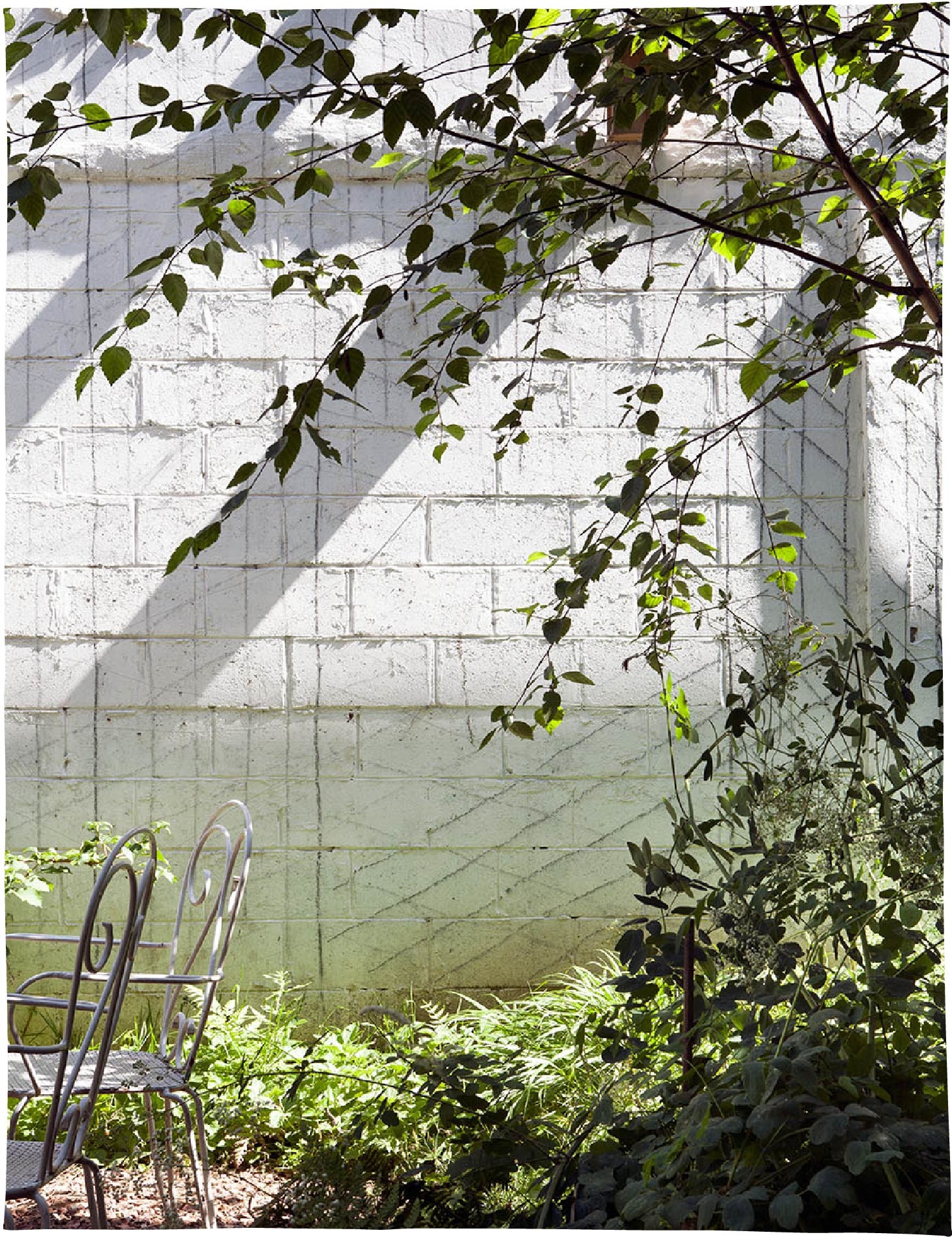 COURTYARD TO PLEASE - Jan Minne