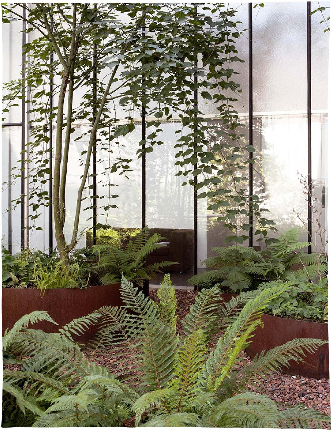 COURTYARD TO PLEASE - Jan Minne