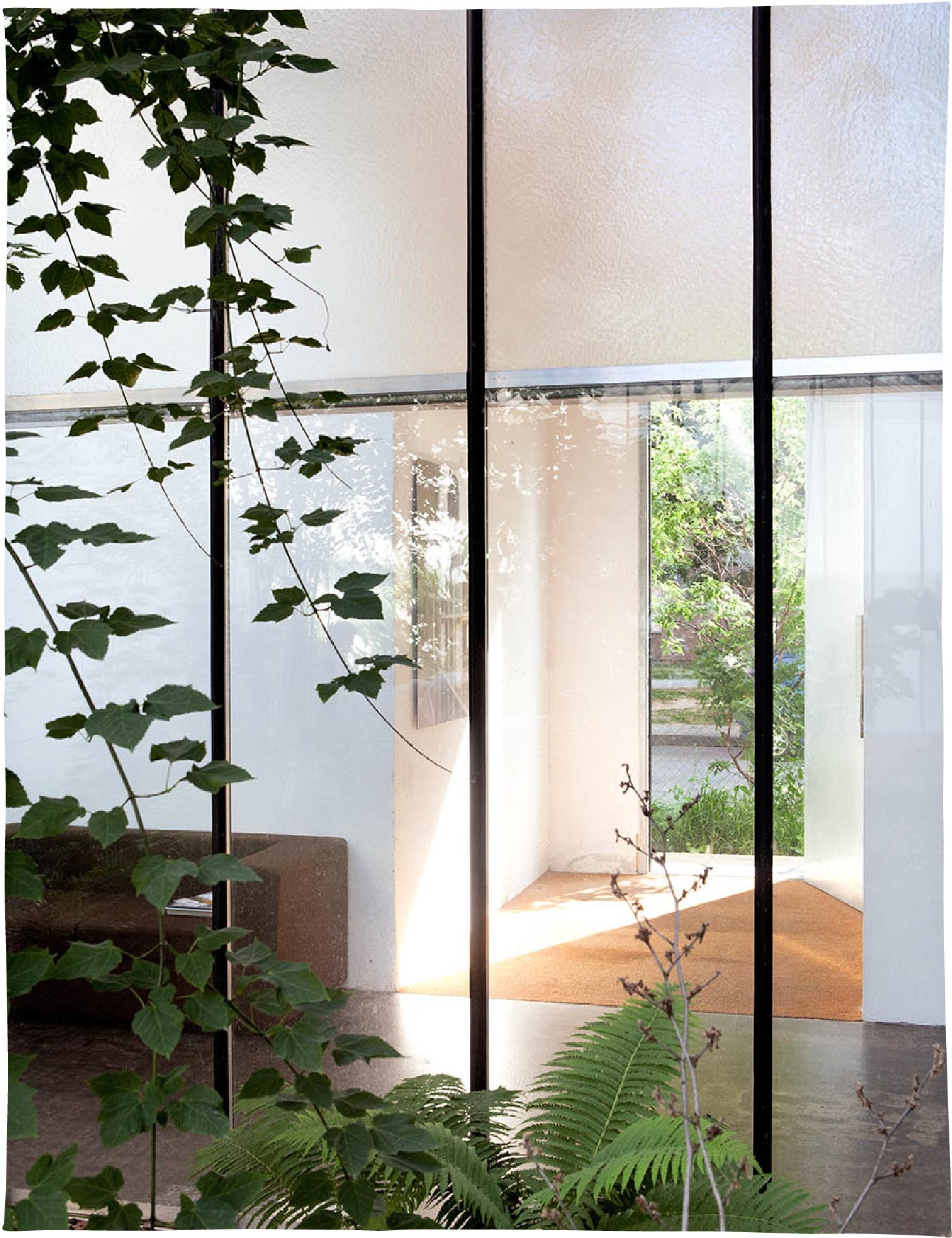 COURTYARD TO PLEASE - Jan Minne