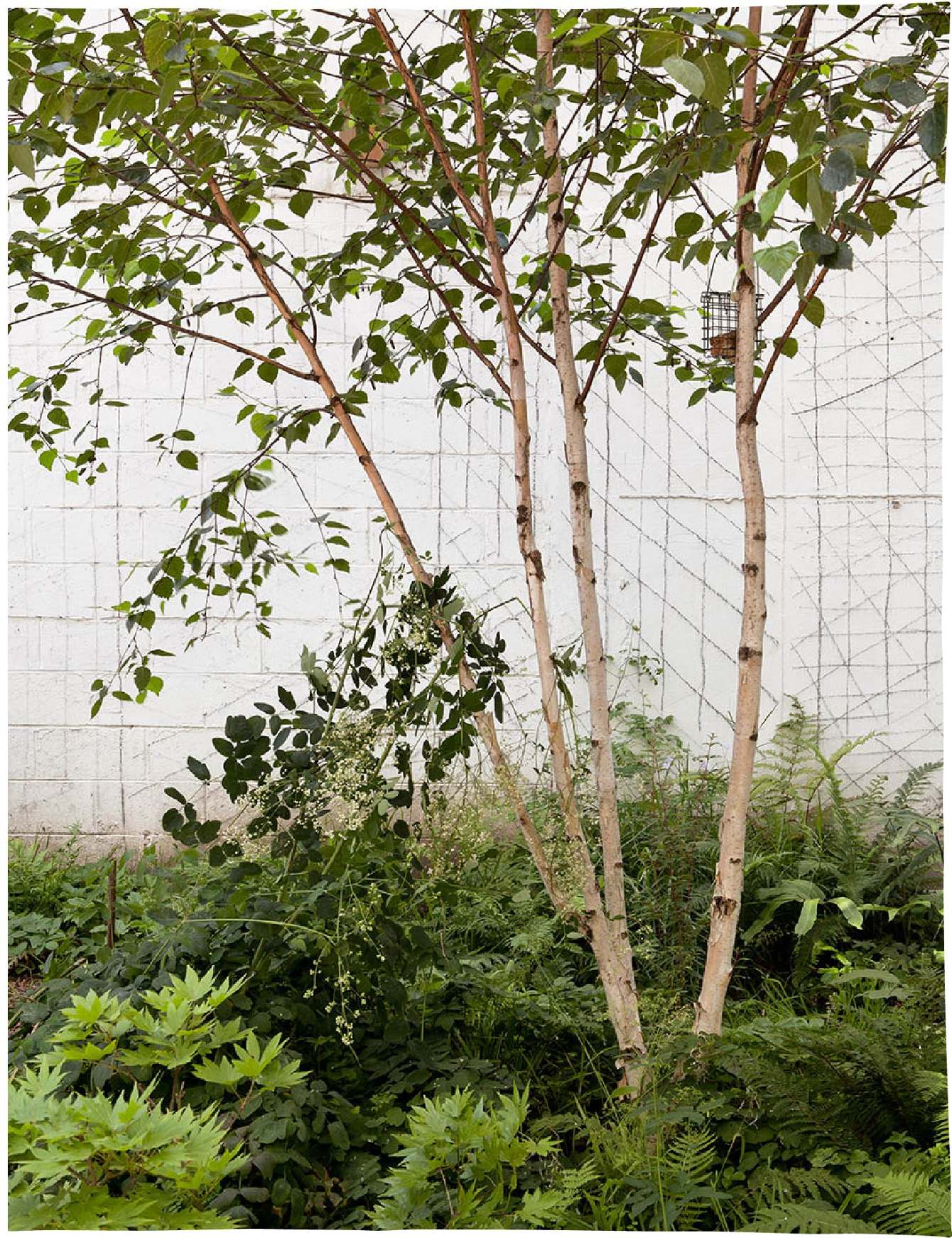 COURTYARD TO PLEASE - Jan Minne