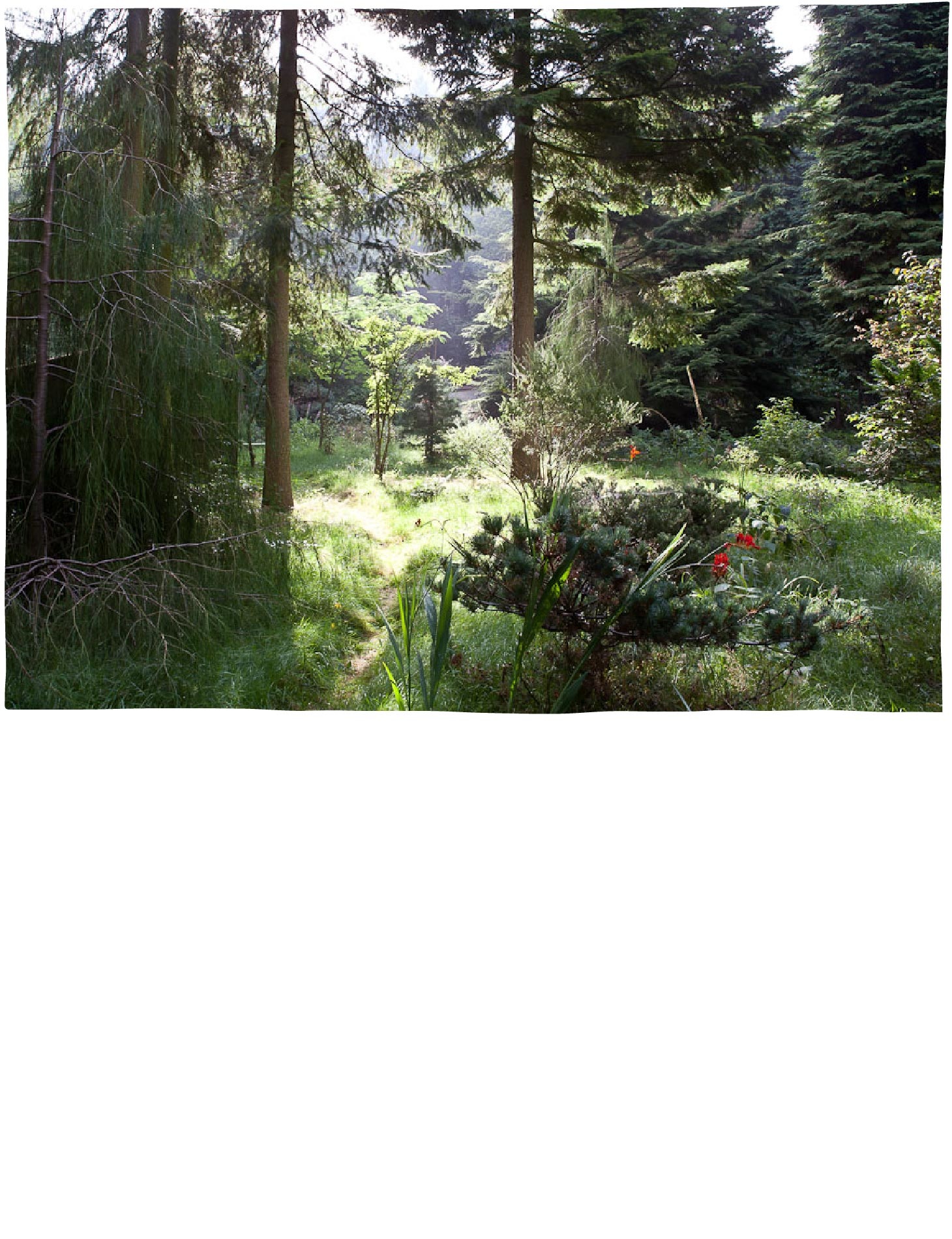 BAY OF DEW - Jan Minne