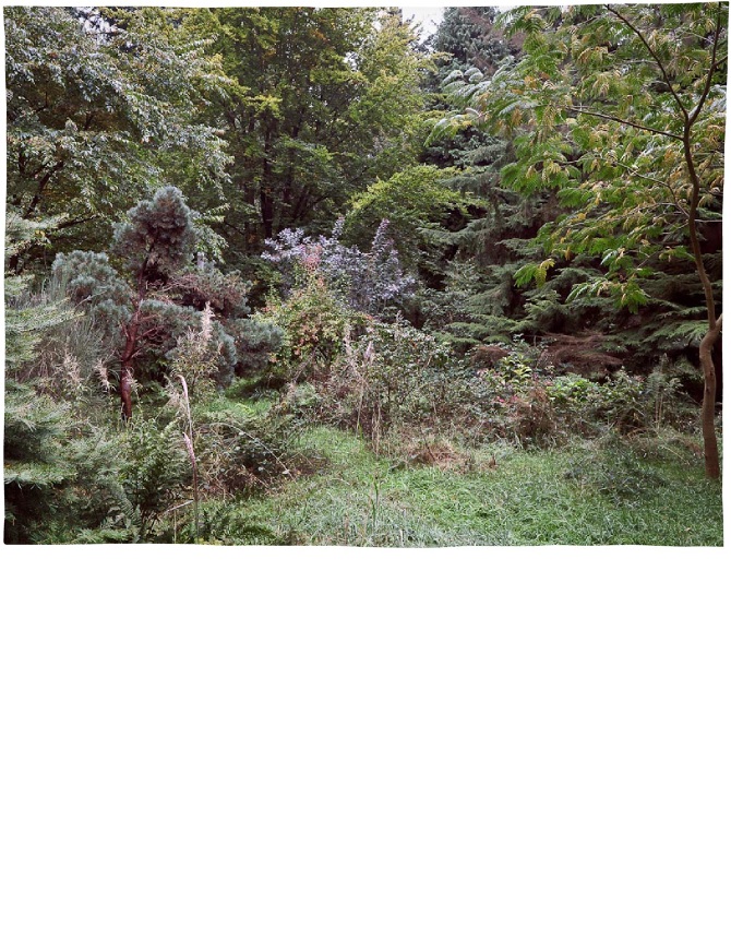 BAY OF DEW - Jan Minne