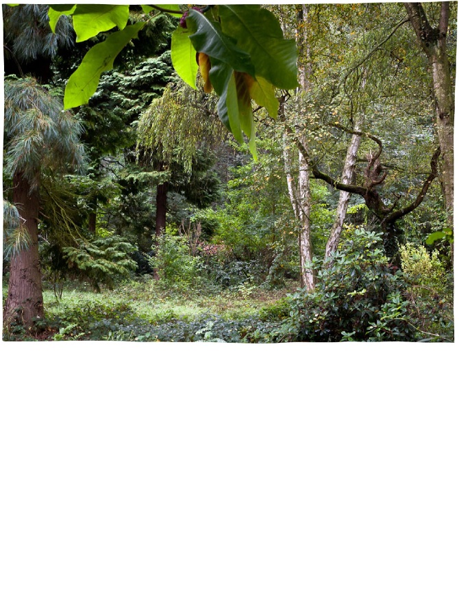 BAY OF DEW - Jan Minne