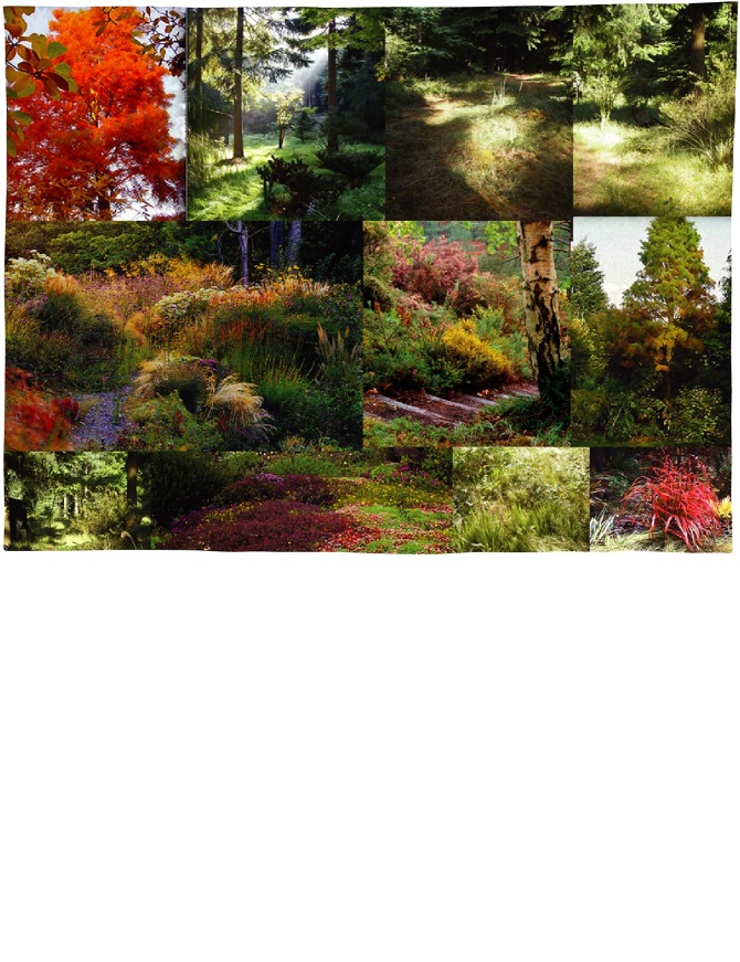 BAY OF DEW - Jan Minne