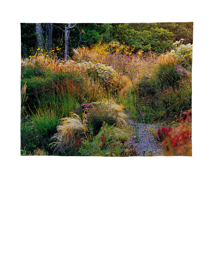 RAINBOW CLOUDS - Jan Minne