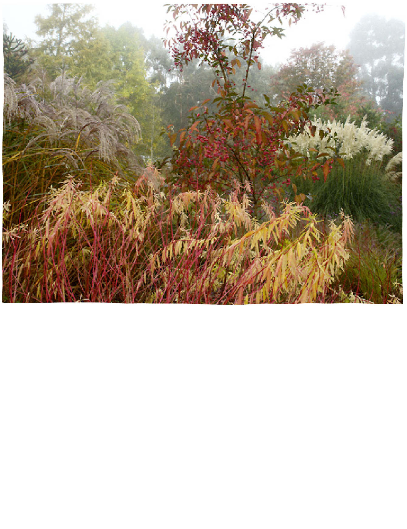 AQUARIUS - Jan Minne