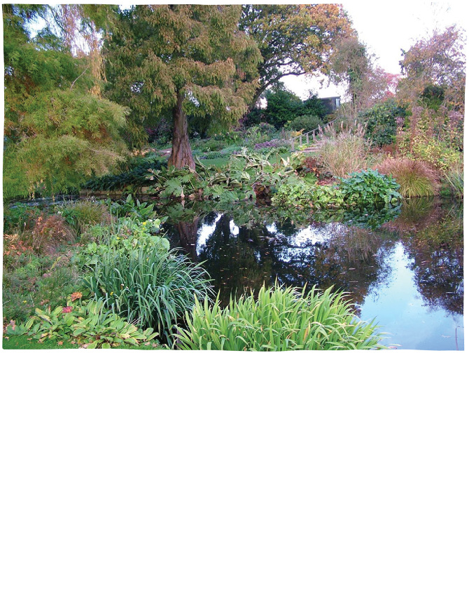 AQUARIUS - Jan Minne