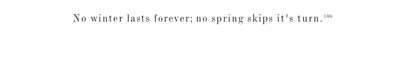 NO WINTER NO SPRING - Jan Minne