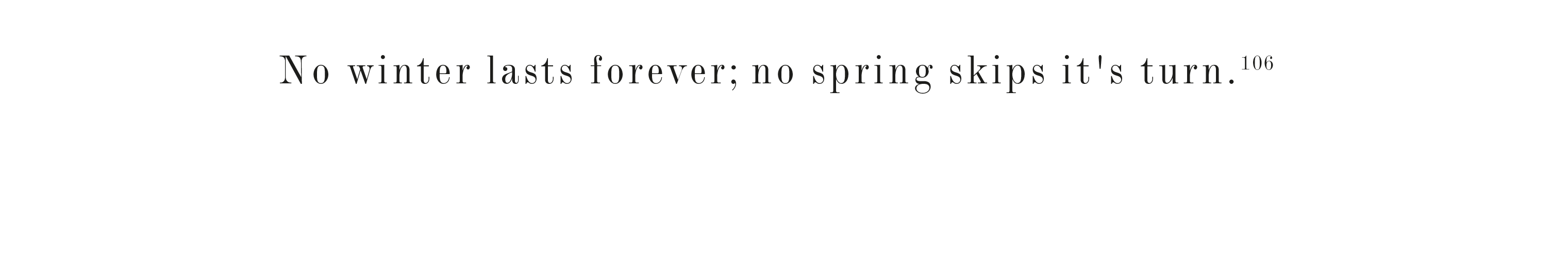 NO WINTER NO SPRING - Jan Minne