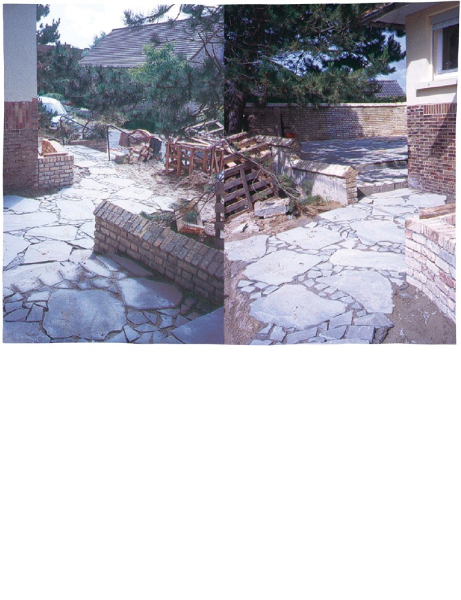 Retreat Garden - Jan Minne