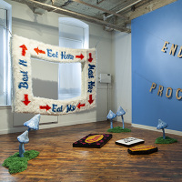 Amy Cousins