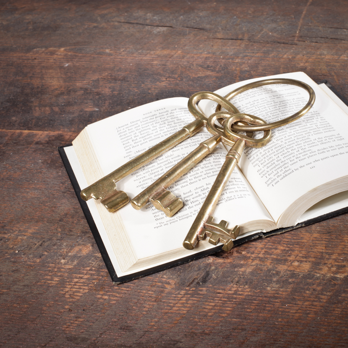 Brass Keys on Ring - Aesthetic Correlation