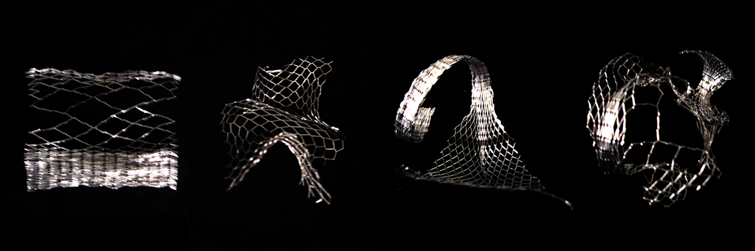 VILLA SAVOYE TRANSFORMATION - Eric Suntup Architecture