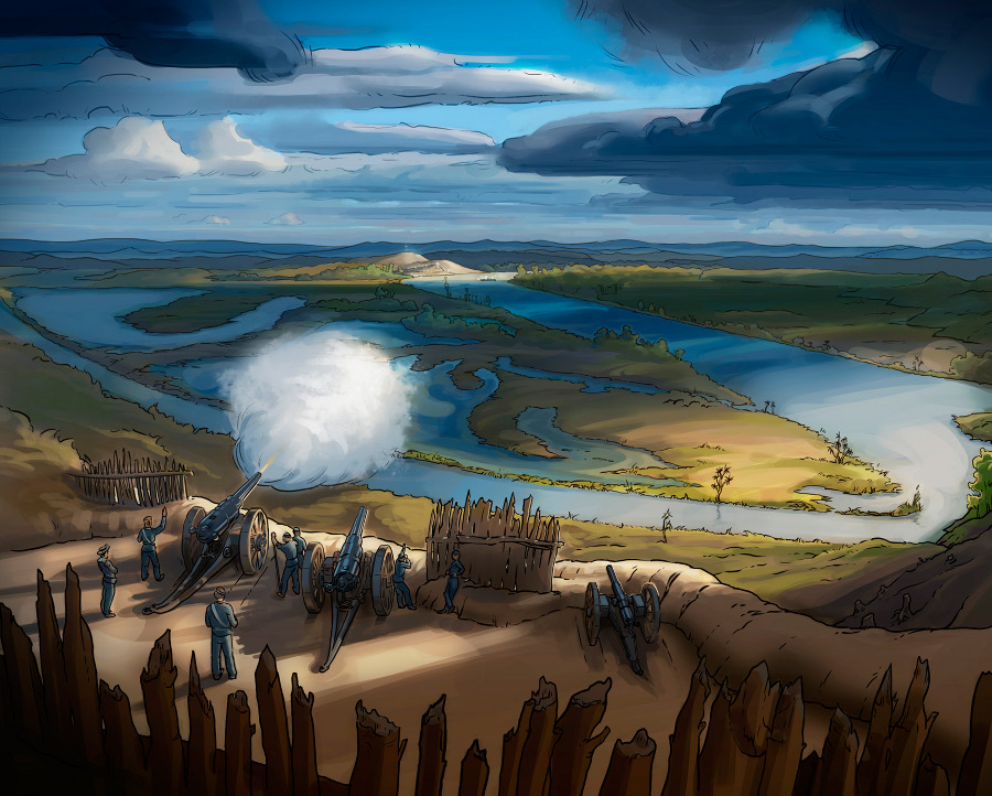 Waikato Wars - Andy Shaw .co .nz