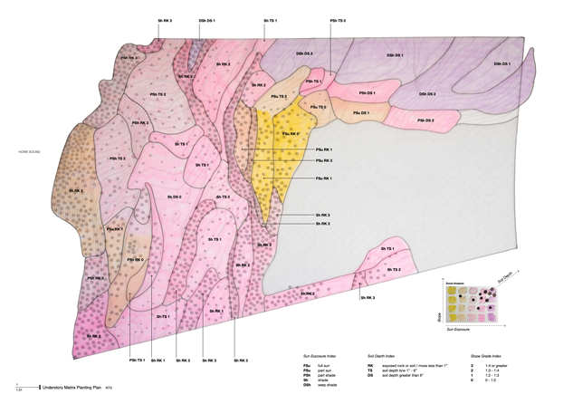 Coastal Climate Transition: Whyte Cliff - Chad Manley Practice in ...