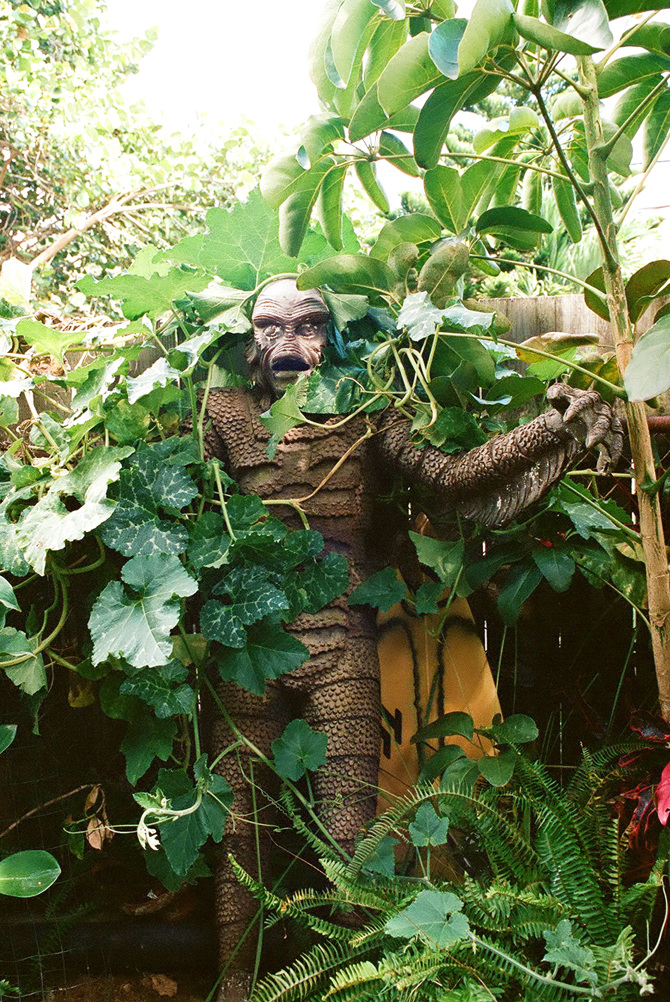 Hawaii - Alice Baxley