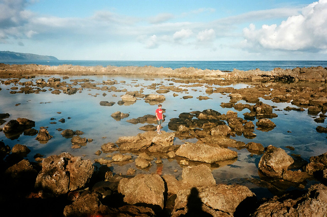 Hawaii - Alice Baxley