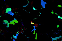 cynic design : visuals_static & in motion