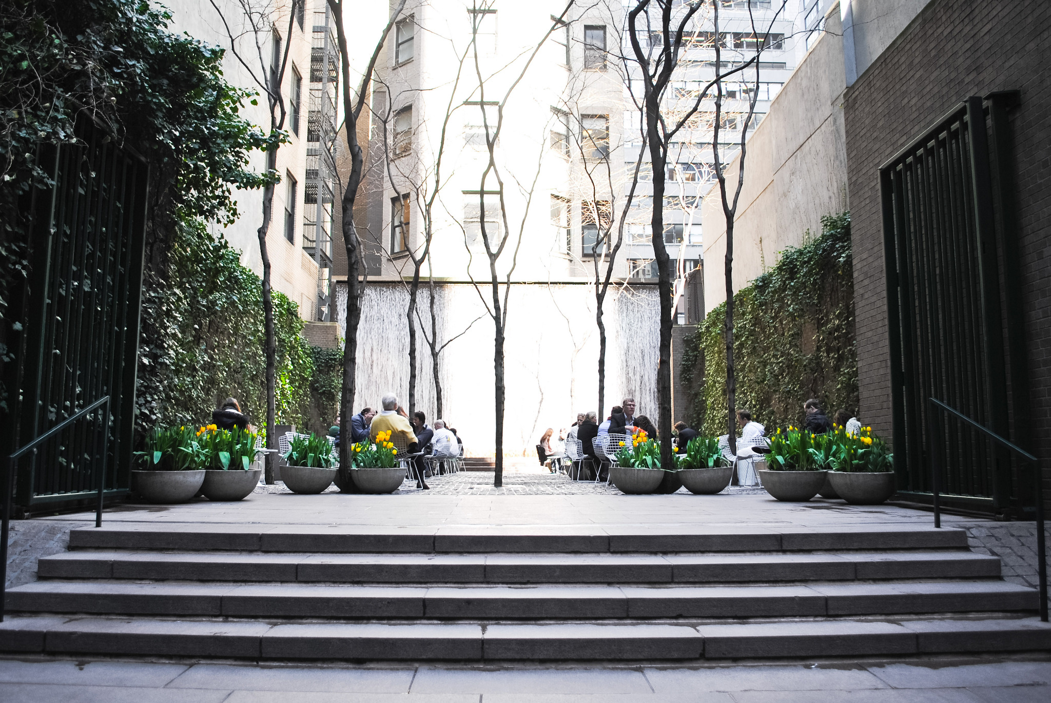 photography / landscape field study: north america - jotaro tokunaga ...