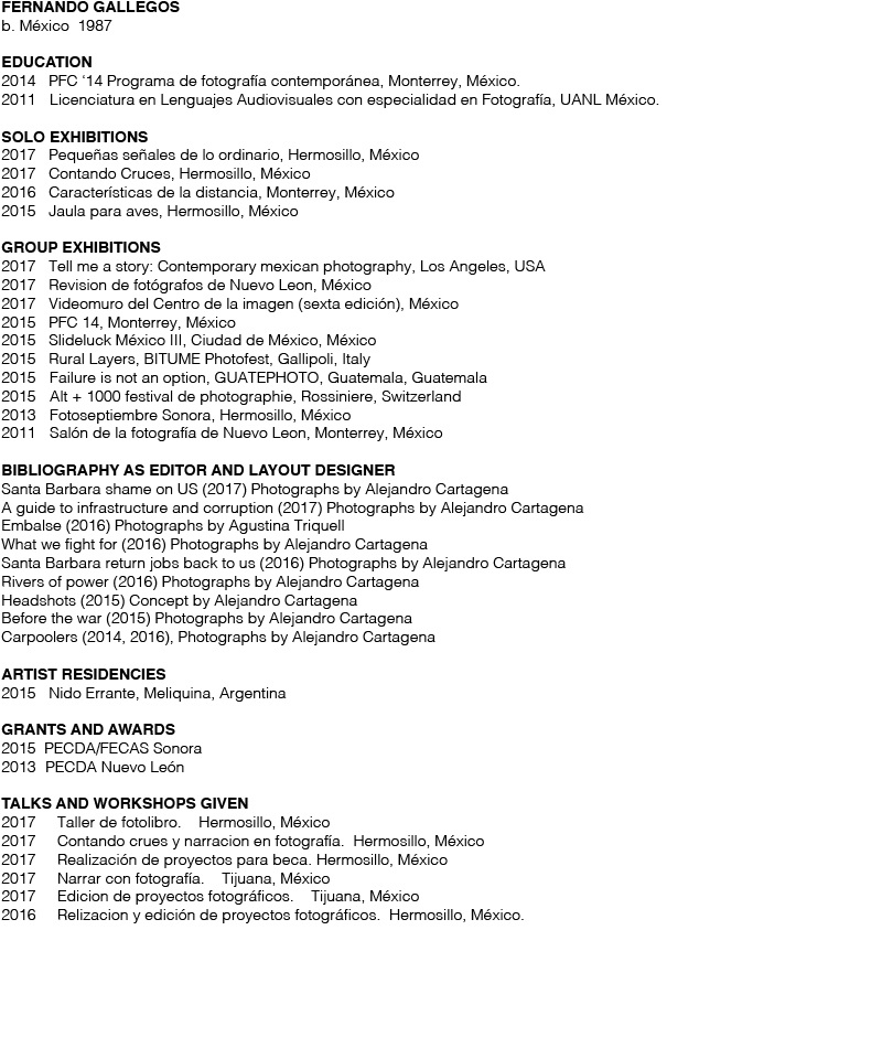 cv - Fernando Gallegos