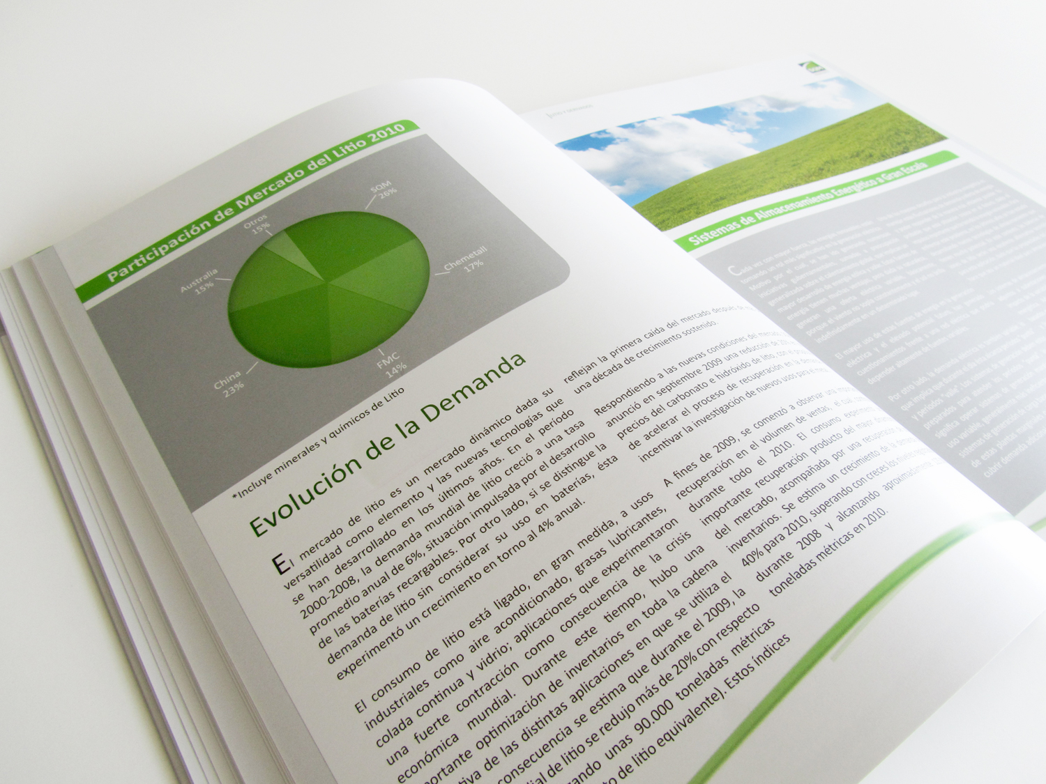 Memoria Anual Soquimich S.A - Javiera San Martín