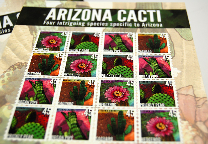 Arizona Cacti - Just Jenny Design