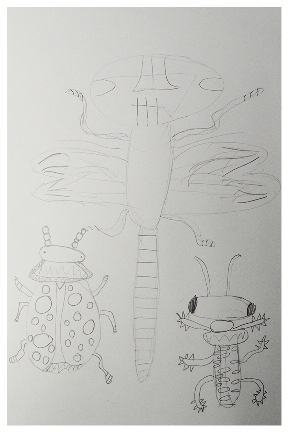 1st & 2nd Grade | Insect Observation Drawing - Fred Lee