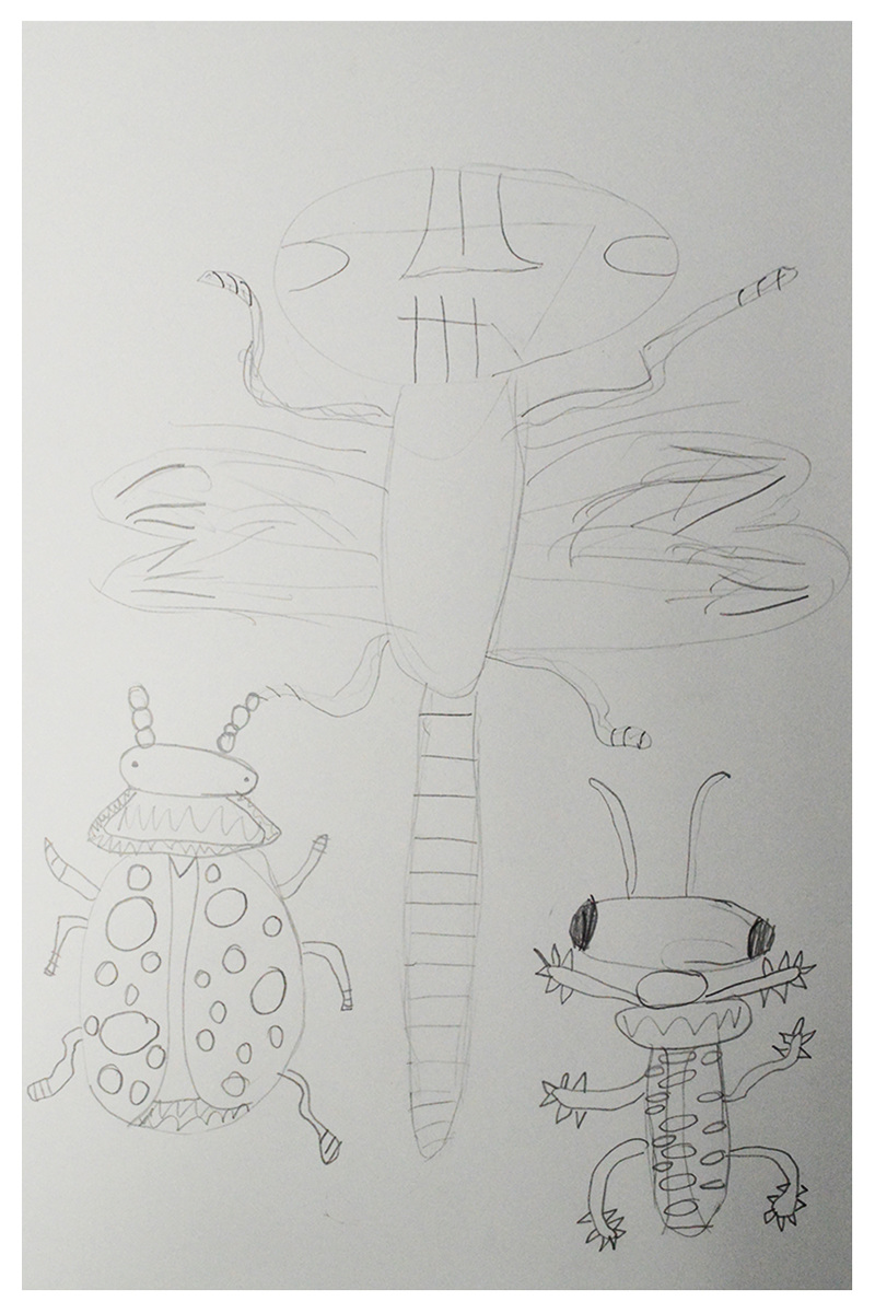 1st & 2nd Grade | Insect Observation Drawing - Fred Lee