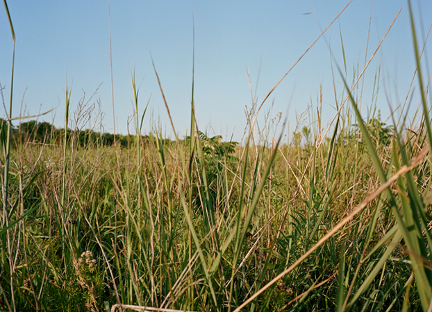 North American Grasslands - brettculbert.com