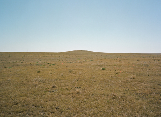 North American Grasslands - brettculbert.com