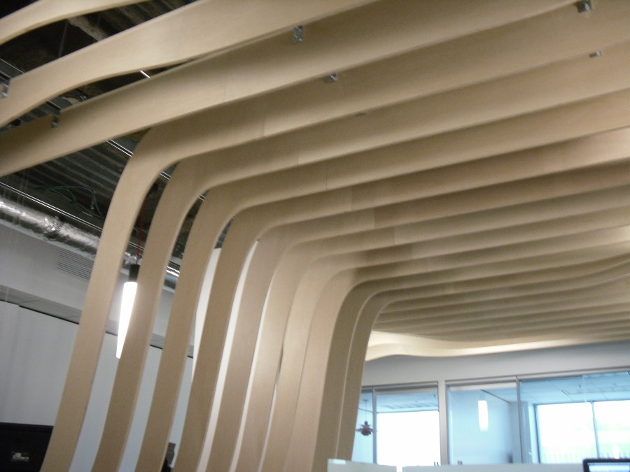 Parametric Ceiling - StormGiant