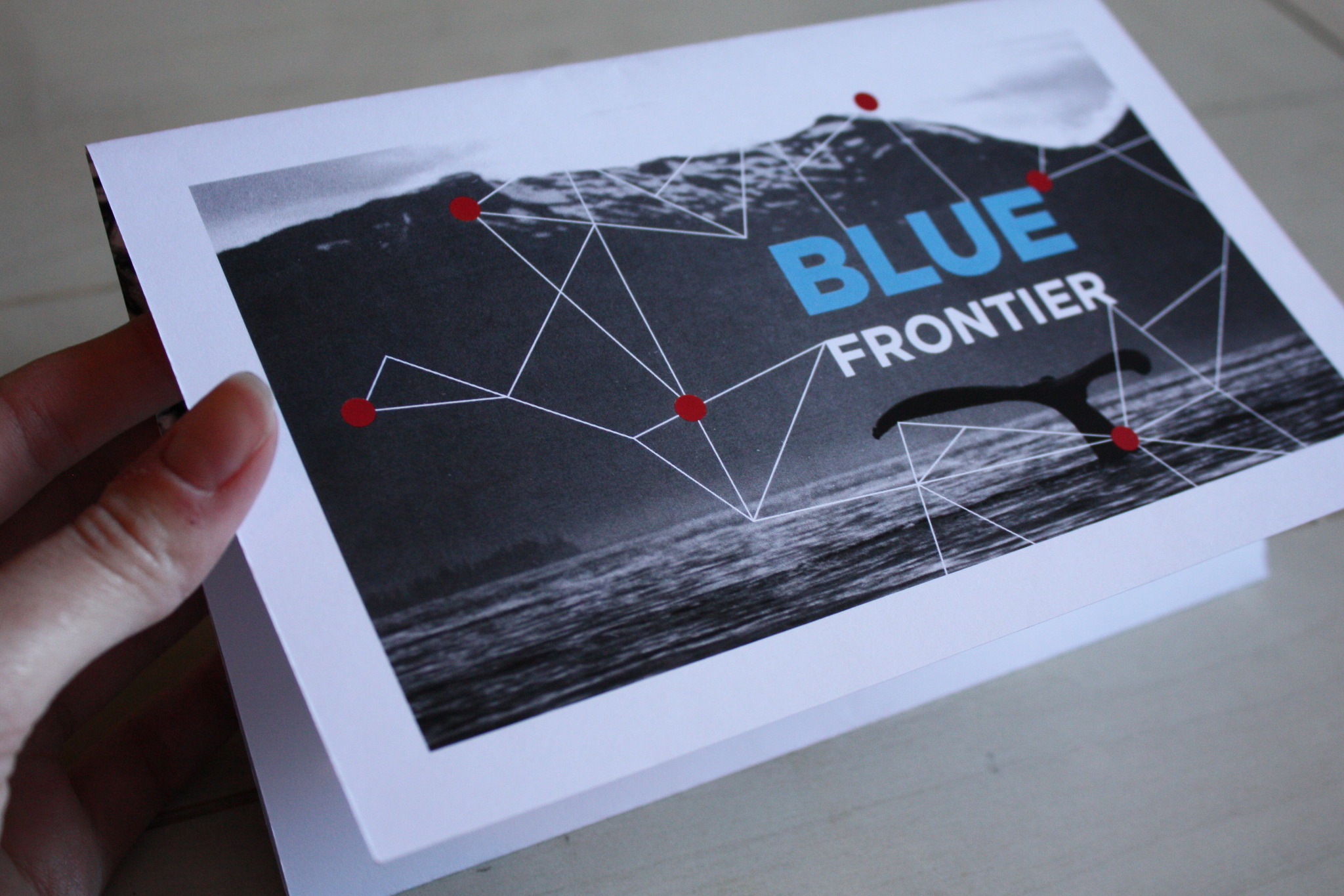 Blue Frontier - Kristen West Design