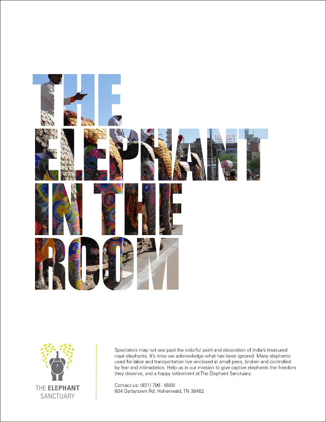 The Elephant Sanctuary - Kristen West Design