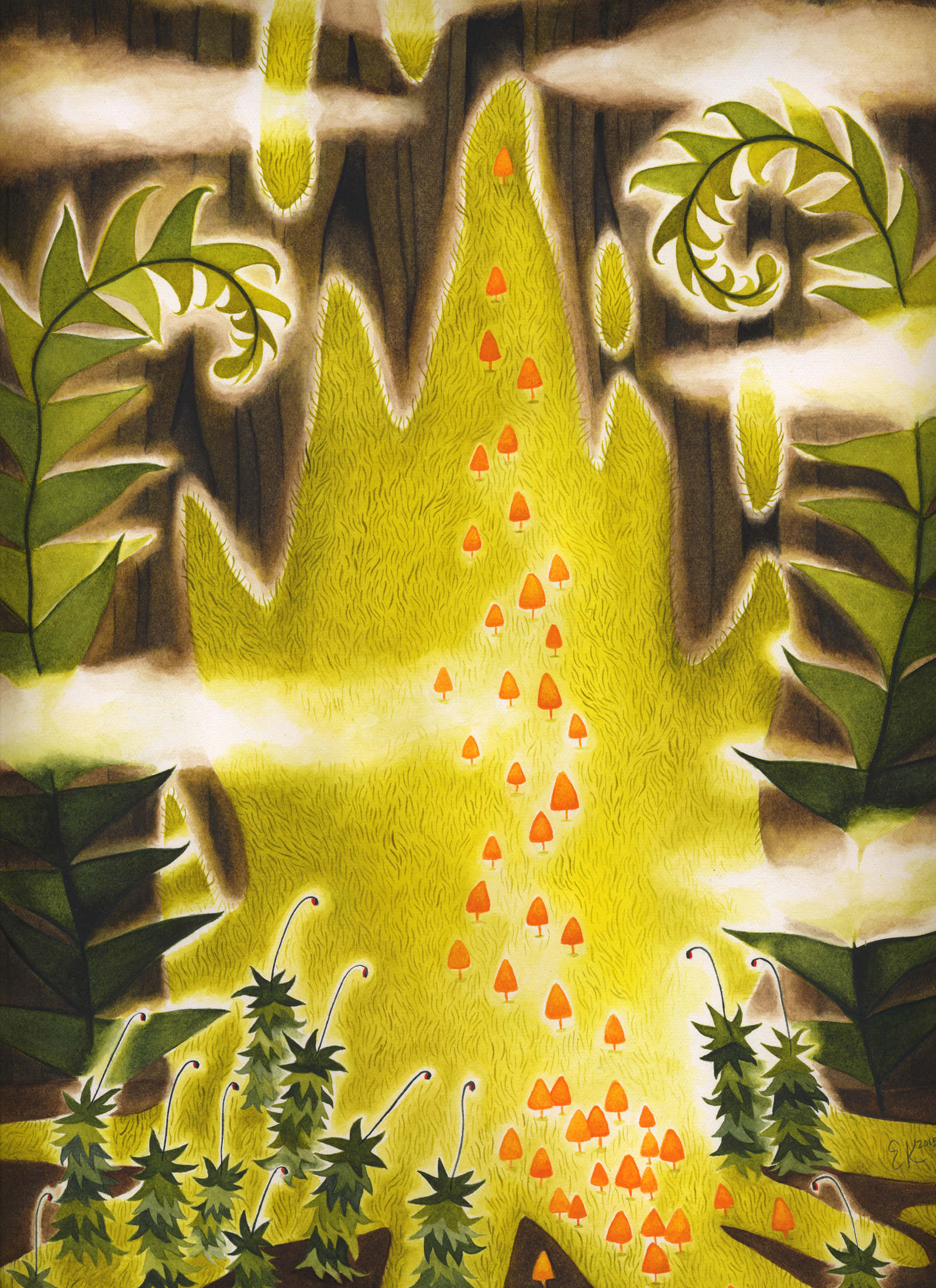 Moss, Ferns and Mushrooms with Tree - Erin Kendig / Illustration / Art ...