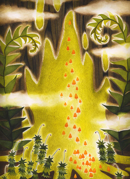 Moss, Ferns and Mushrooms with Tree - Erin Kendig / Illustration / Art ...
