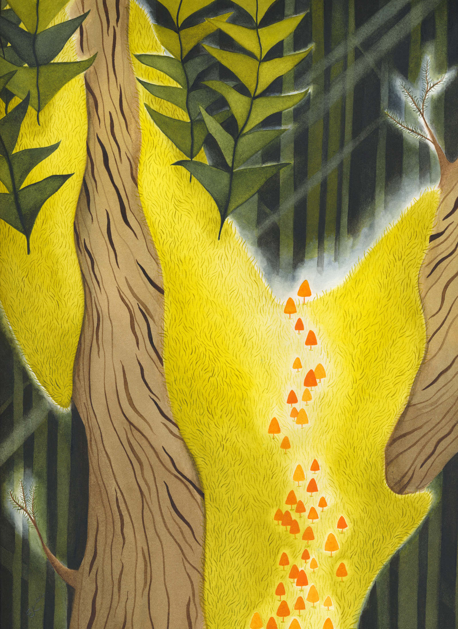 Moss, Mushrooms and Ferns on Branches - Erin Kendig / Illustration ...