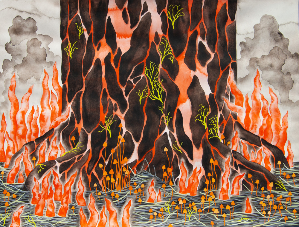 Ponderosa - Erin Kendig / Illustration / Art / Design