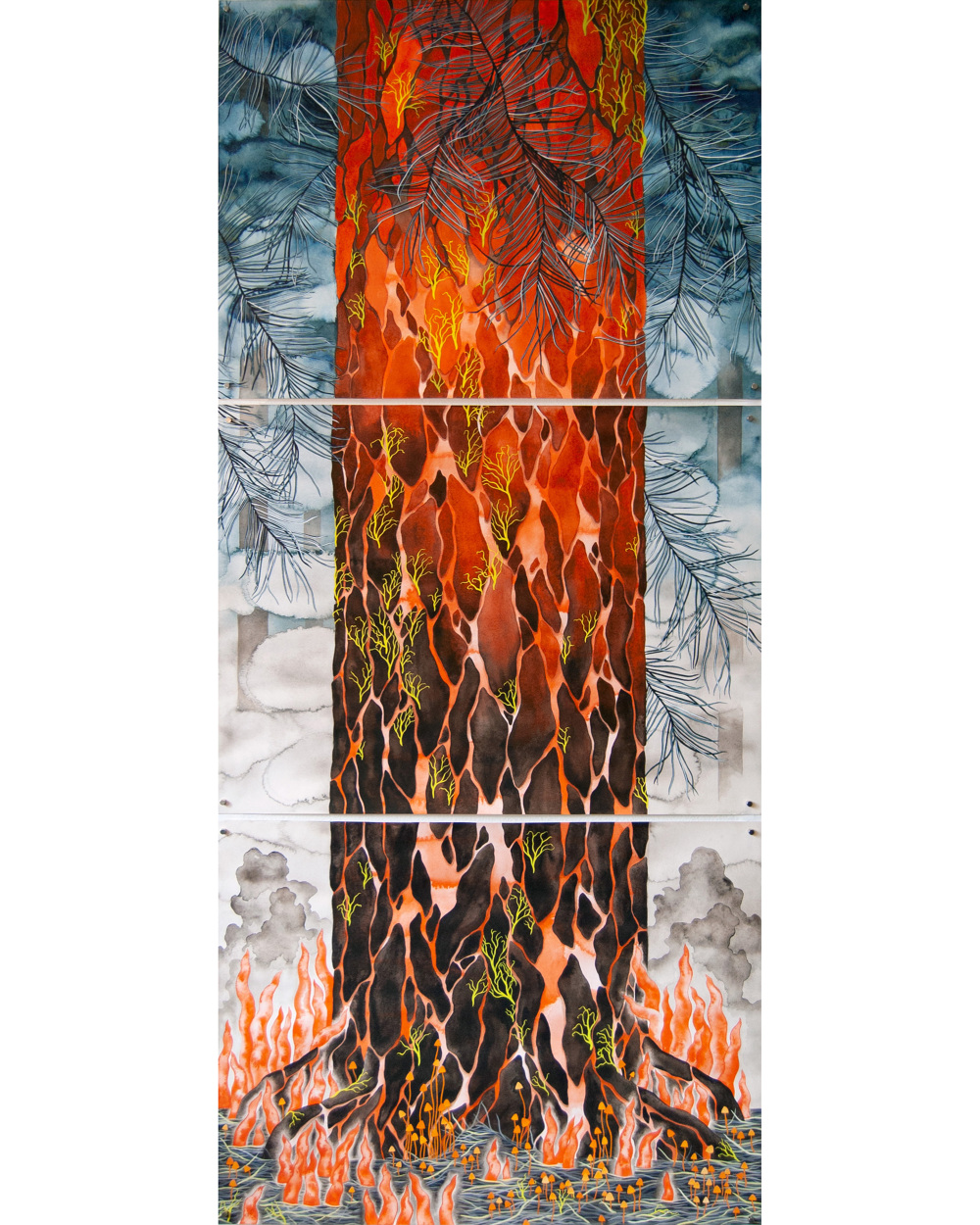 Ponderosa - Erin Kendig / Illustration / Art / Design