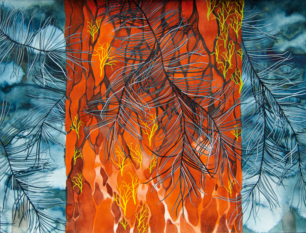 Ponderosa - Erin Kendig / Illustration / Art / Design