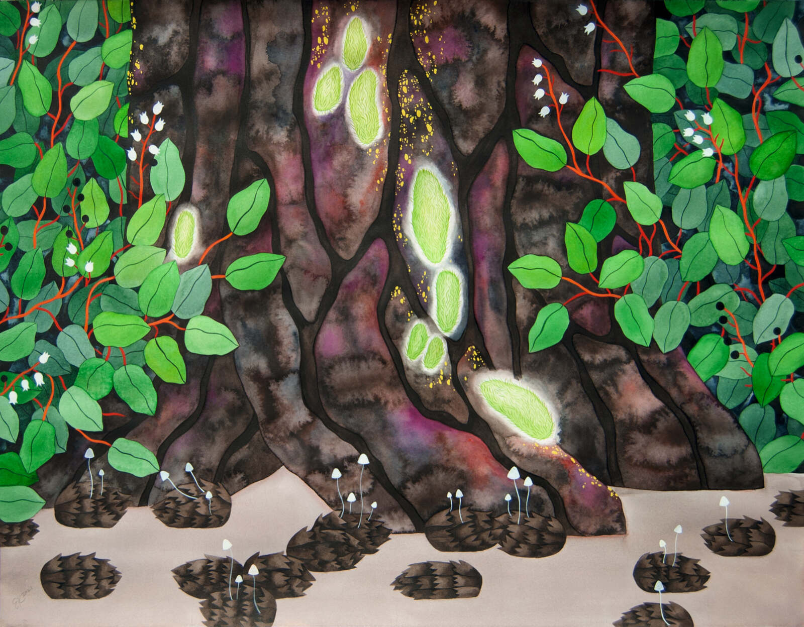 Douglas-Fir - Erin Kendig / Illustration / Art / Design