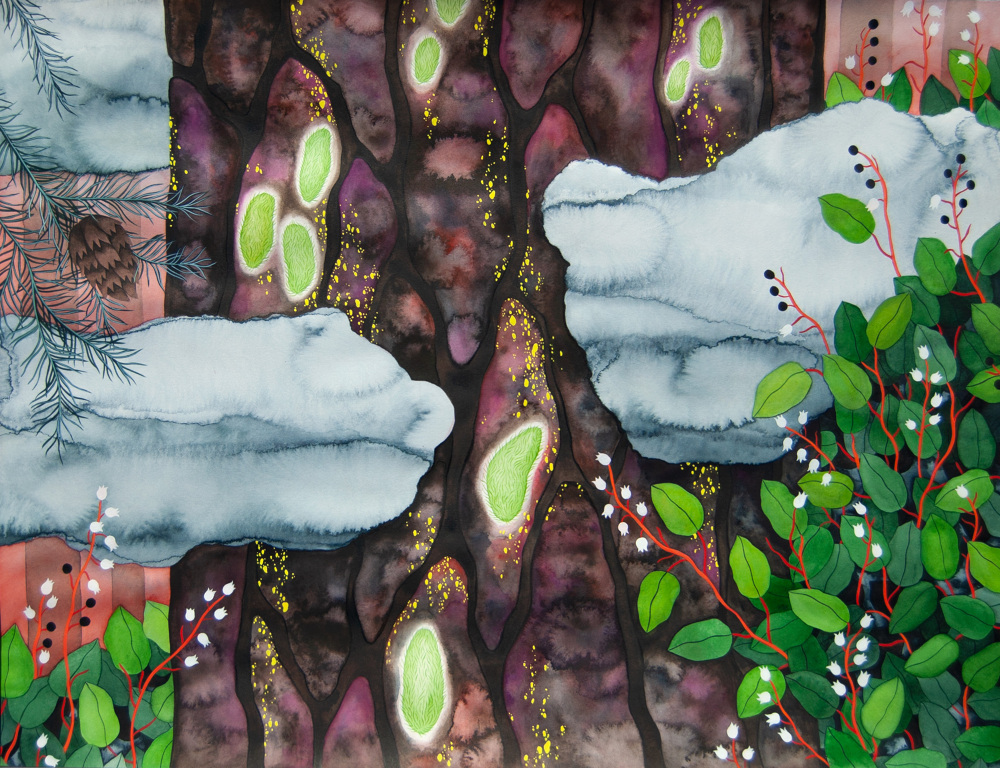 Douglas-Fir - Erin Kendig / Illustration / Art / Design